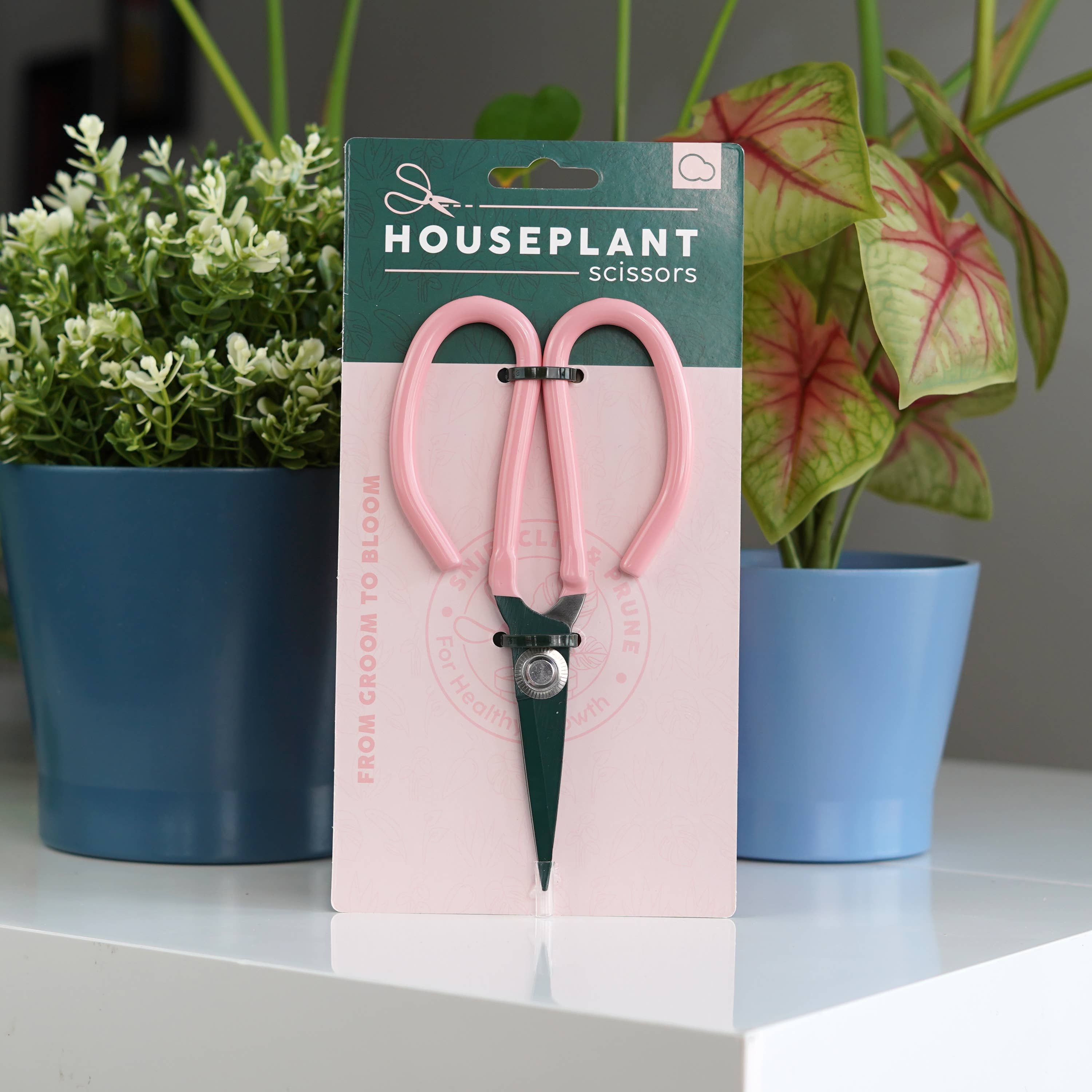 Houseplant Scissors – Winston's General